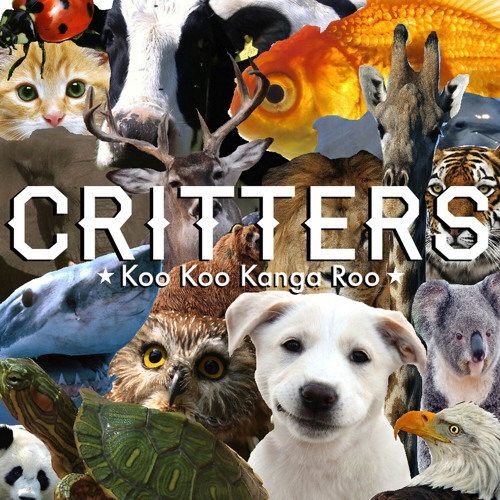 Stream Shark Shark Scream by Koo Koo Kanga Roo | Listen online for free ...