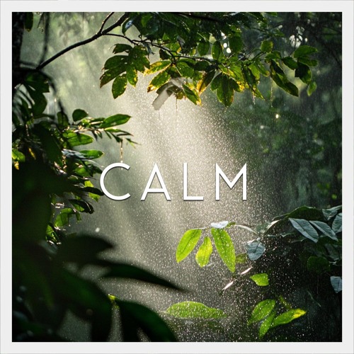 Stream Pathways of Calm by Baby Shushing | Listen online for free on SoundCloud