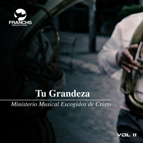 Stream Cordero Santo by Ministerio Musical Escogidos de Cristo | Listen ...