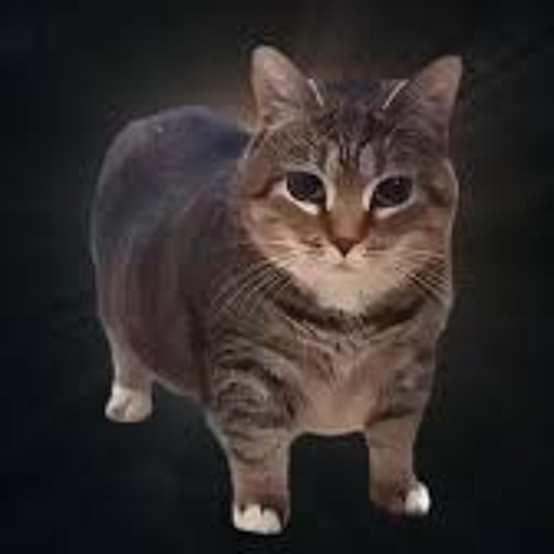 Stream oiia-cat-x-fly-me-to-the-moonby-G.O.A.T.C.R.7 by G.O.A.T.C.R.7 ...