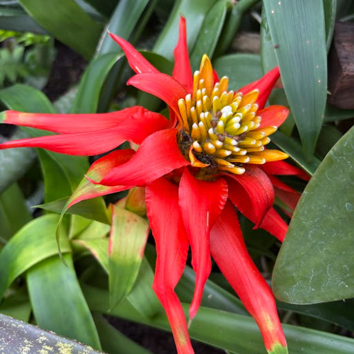 Stream Tri | Listen to Songs that didn't make the cut, so I'm releasing ...