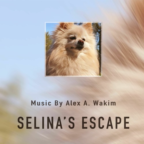 Stream Selina's Escape (Live Orchestra) by Alex Wakim | Listen online ...