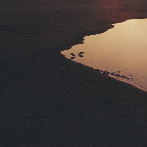 Stream Hideyuki Hashimoto - Kohaku by Hideyuki Hashimoto | Listen ... Stream Hideyuki Hashimoto - Kohaku by Hideyuki Hashimoto | Listen ...