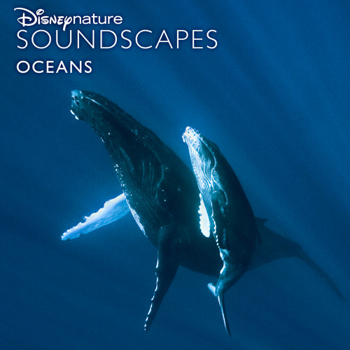 Stream Disneynature Soundscapes | Listen to Disneynature Soundscapes ...