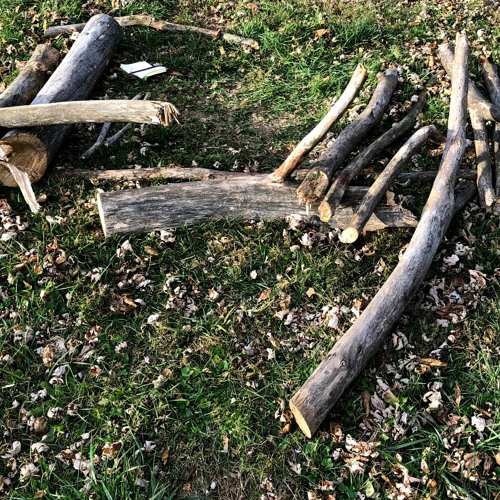 Stream Field Recording Series - Fallen Tree Crow Duet Lamson Woods by ...