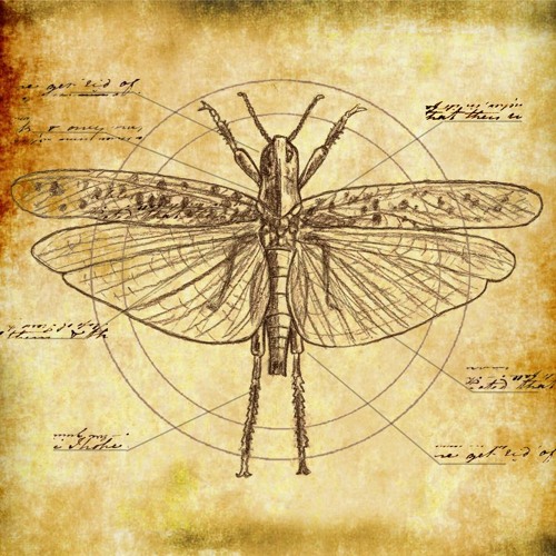 Dance Of The Locust by B NAKI - Free download on ToneDen
