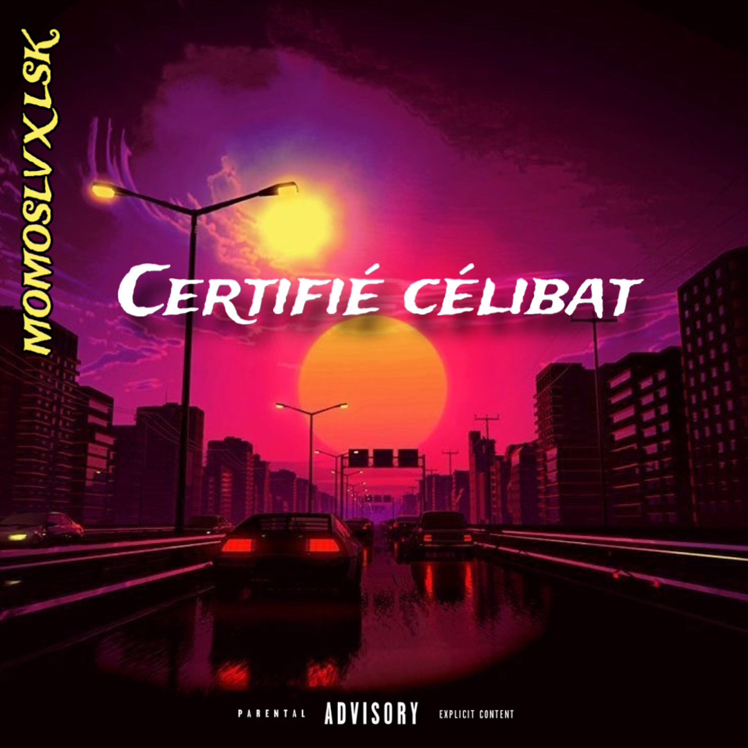 Stream momo slv CÉRTIFIÉ CÉLIBAT ft. lsk by SLV | Listen online for ...
