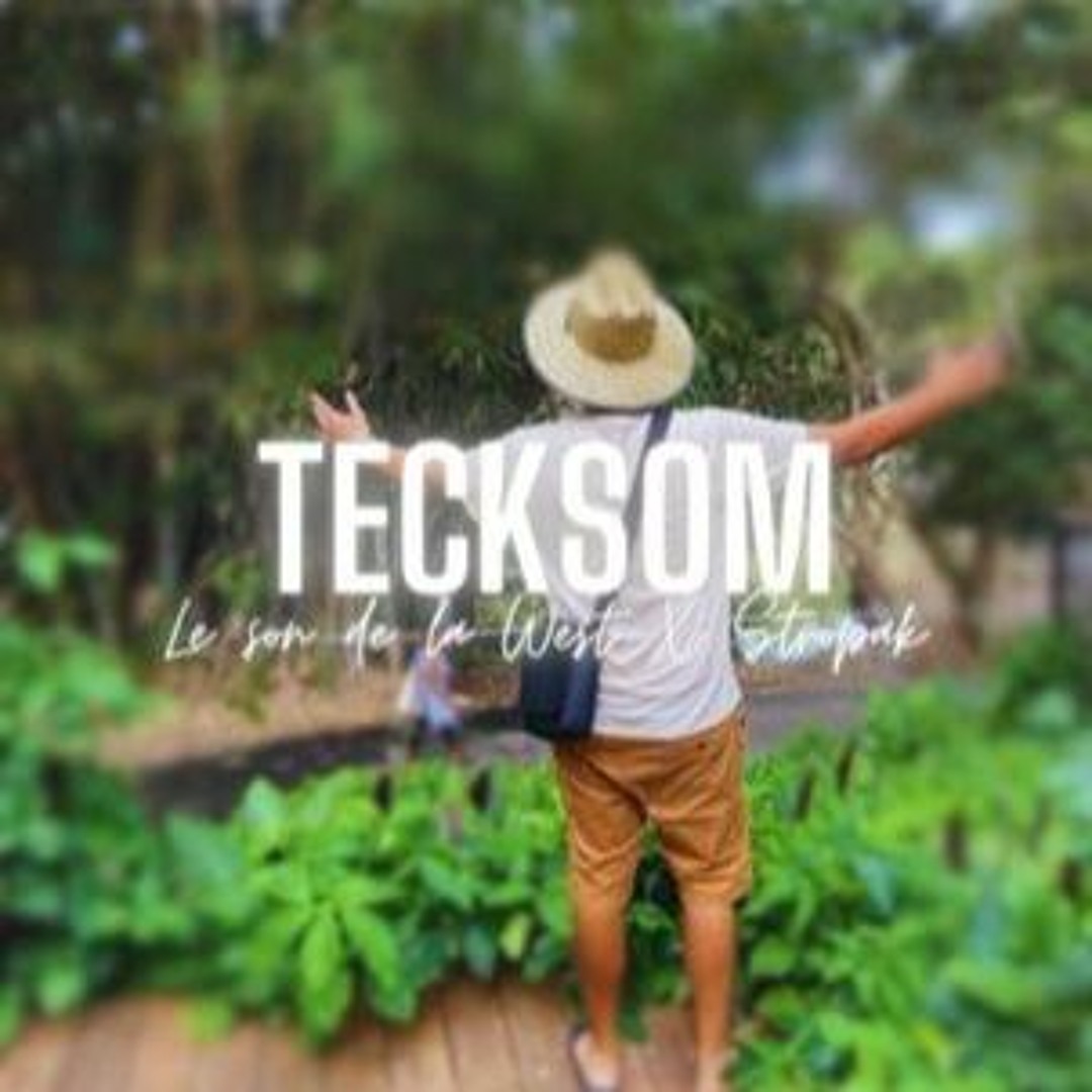Stream TECKSOM - LE SON DE LA WEST ( Ft. STROPAK ) by Dj Tecksom ...