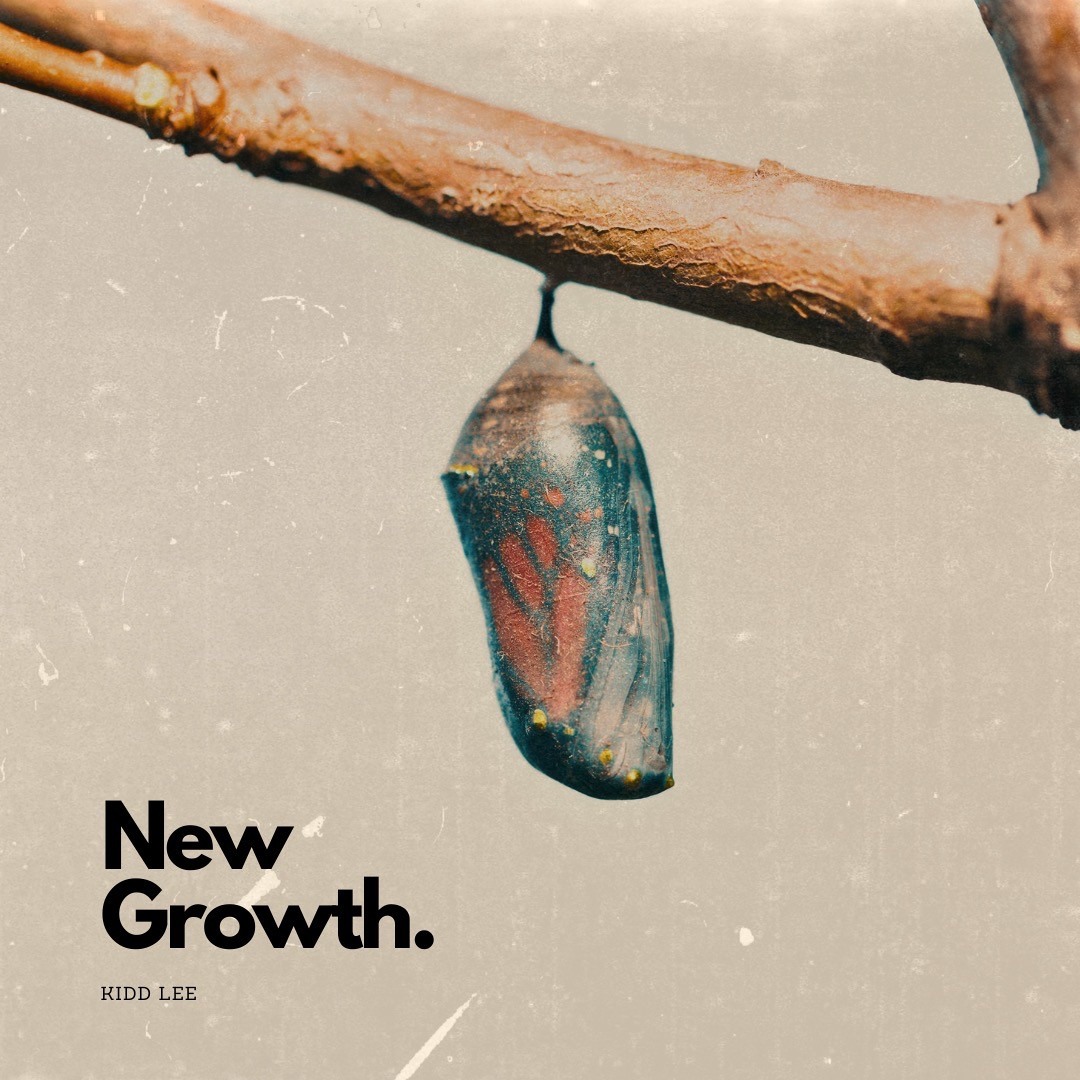 Stream Kidd Lee | Listen to New Growth playlist online for free on ...