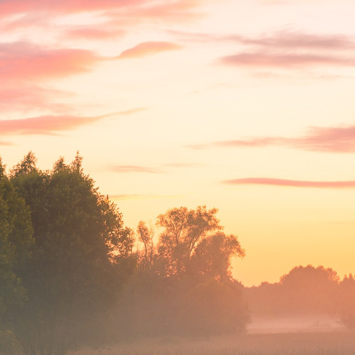 Stream Sad Valley by Astra 0845 | Listen online for free on SoundCloud