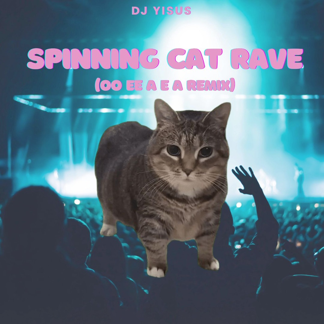 Stream Spinning Cat Rave (Oo Ee A E A Dubstep Mix) OIIAOIIA by DJ Yisus ...