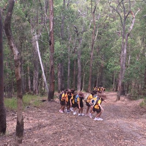 Stream Top 5 School Excursion Ideas For Students of All Ages by ...