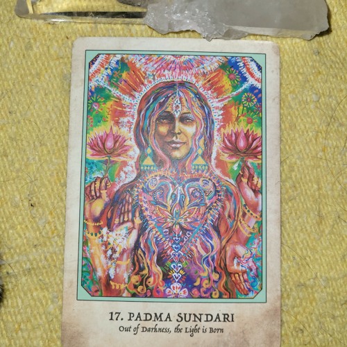 Stream Padma Sundari: Out of Darkness, the Light is Born by Mediation ...