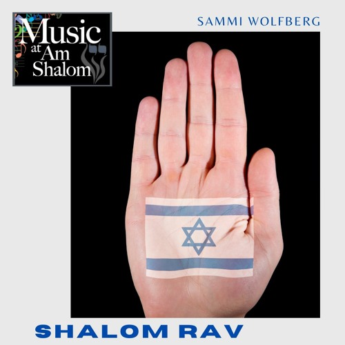 Stream Shalom Rav (Sammi Wolfberg) by Am Shalom | Listen online for ...