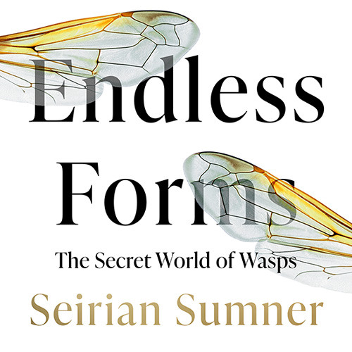 Stream Endless Forms: The Secret World of Wasps, By Seirian Sumner ...