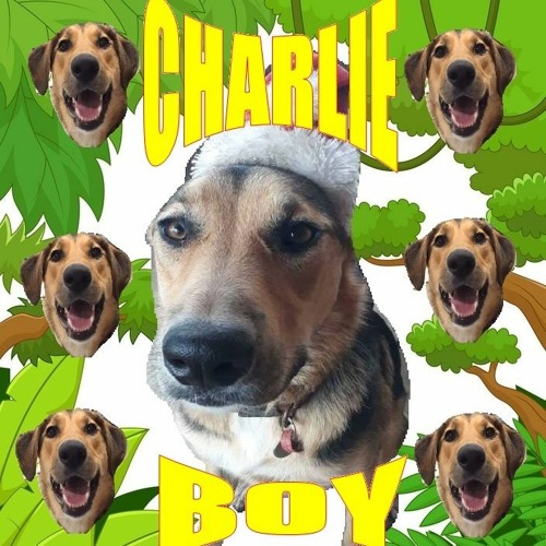 Stream Charlie Boy by musicplease_rob | Listen online for free on ...