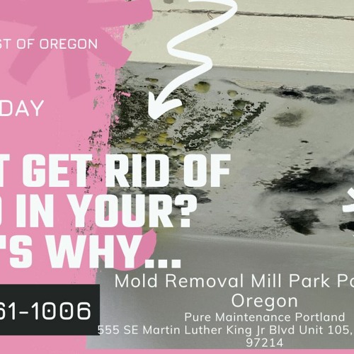 Stream Pure Maintenance Portland | Listen to Mold Removal Mill Park ...