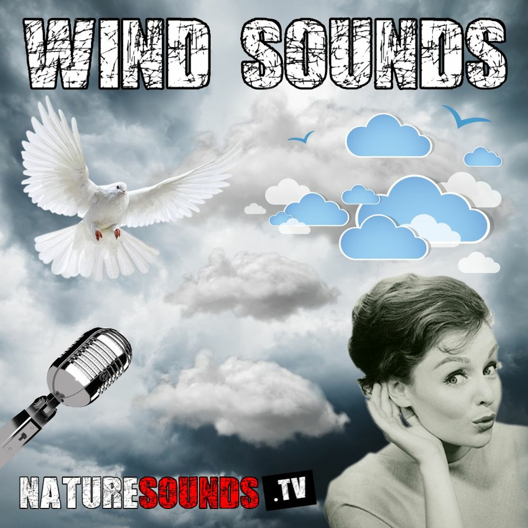 Stream Strong Wind Blowing And Howling by Nature Sounds TV | Listen ...