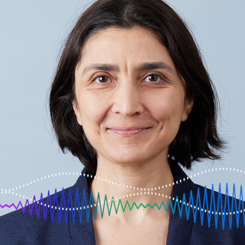 Stream Deniz Igan on The Housing Affordability Crunch by IMF Podcasts ...