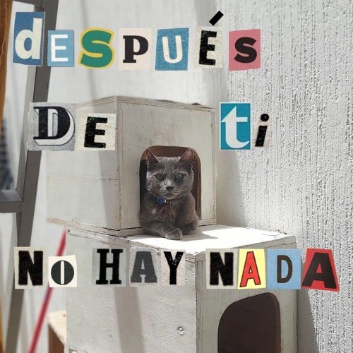 Stream Amor by Giampaolo Schiaffino | Listen online for free on SoundCloud