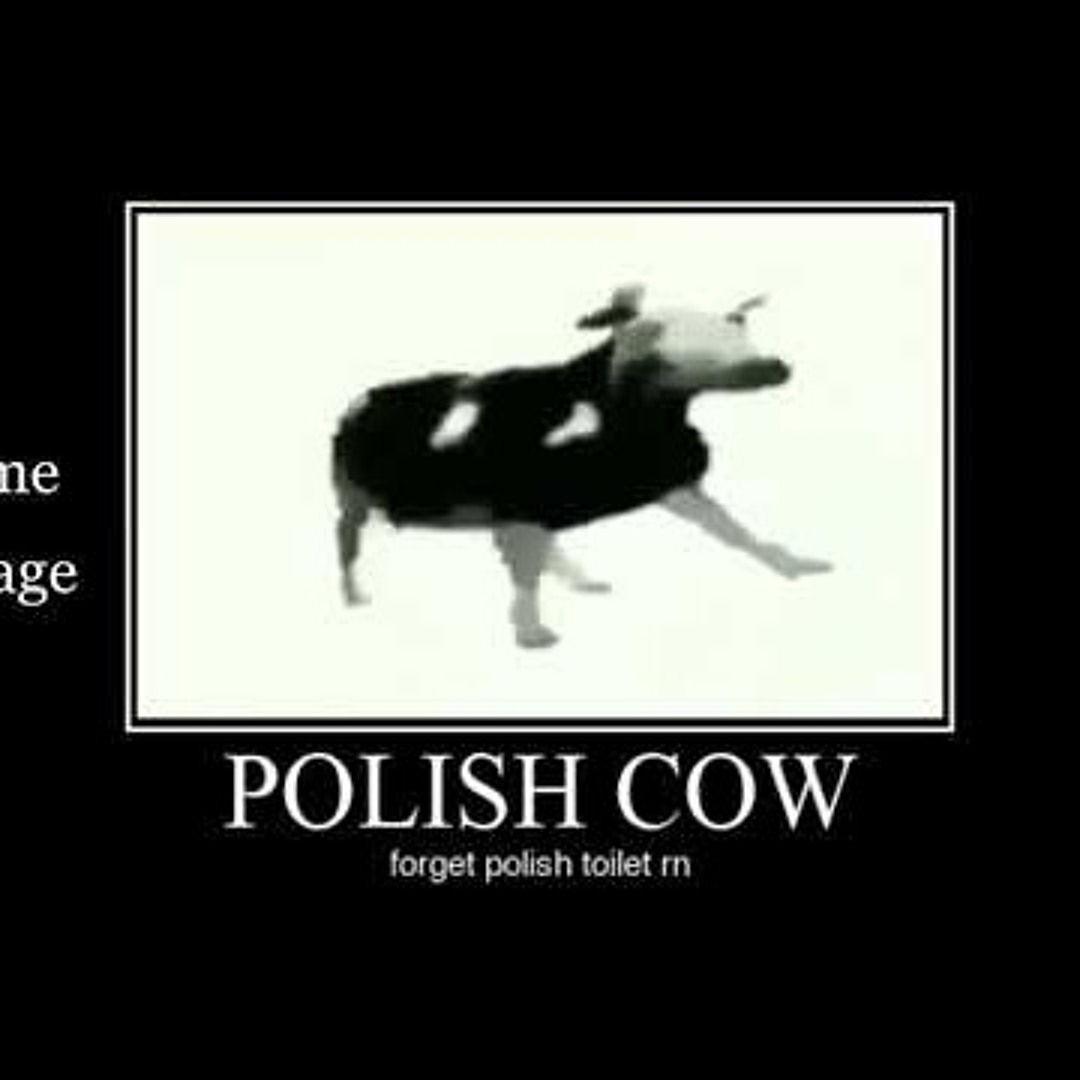 Stream polish cow song by Trever05 | Listen online for free on SoundCloud