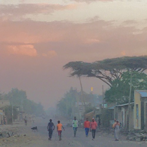 Stream Vulture Culture Tapes Label | Listen to Ethiopian soundscapes ...