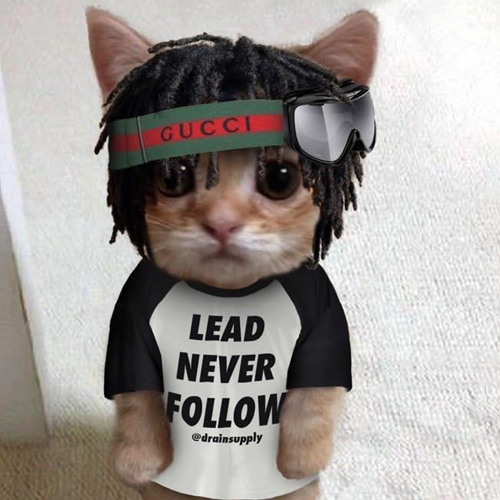 Stream MajinBlxxdy x Krymzn x Igbomane - Lead Never Follow (Prod. Mordy ... Stream MajinBlxxdy x Krymzn x Igbomane - Lead Never Follow (Prod. Mordy ...