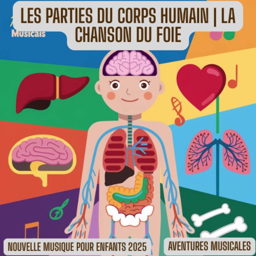 Stream Les Parties Du Corps Humain | La Chanson Du Foie – Nouvelle ...