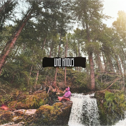 Stream Who Knows - Yung Loaf (Feat. In$azy) by Yung Loaf | Listen ...