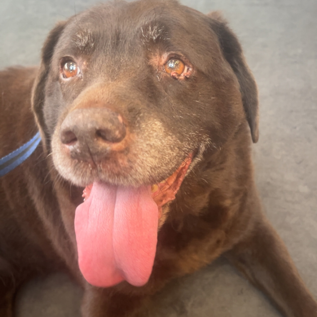 Stream sigma song artist | Listen to Sigma songs playlist online for ...