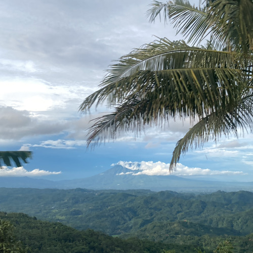 Stream Medley Kerispatih by Funky Monkey by kevin ahmad | Listen online ...