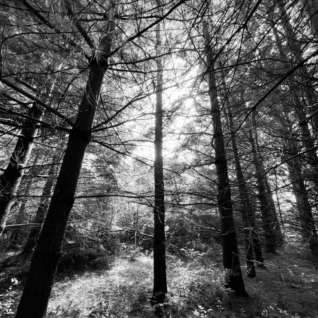 Stream Decalius - Excluded from Humanity by way too far gone | Listen ...