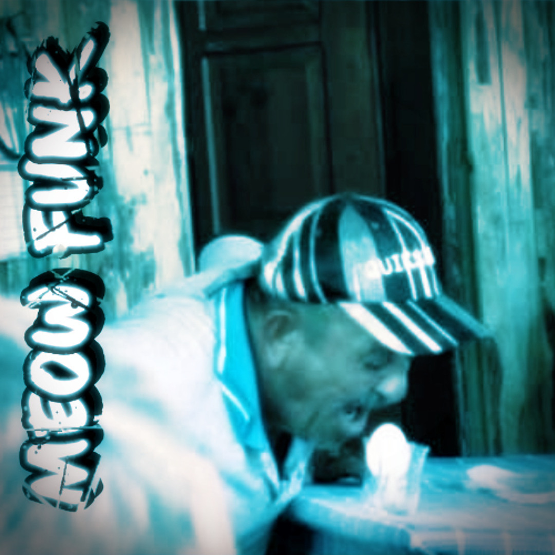 Stream Meow Funk by dj mgl | Listen online for free on SoundCloud