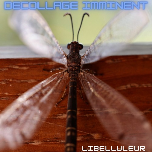 Stream Libelluleur | Listen to Decollage Imminent playlist online for free on SoundCloud