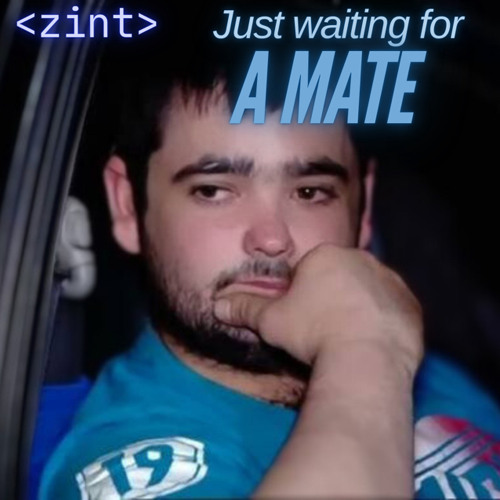 Stream just waiting for a mate by DJ ZINT | Listen online for free on ...