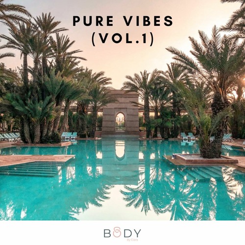 Stream Pure Vibes (Vol.1) by The Arkitekt | Listen online for free on ...