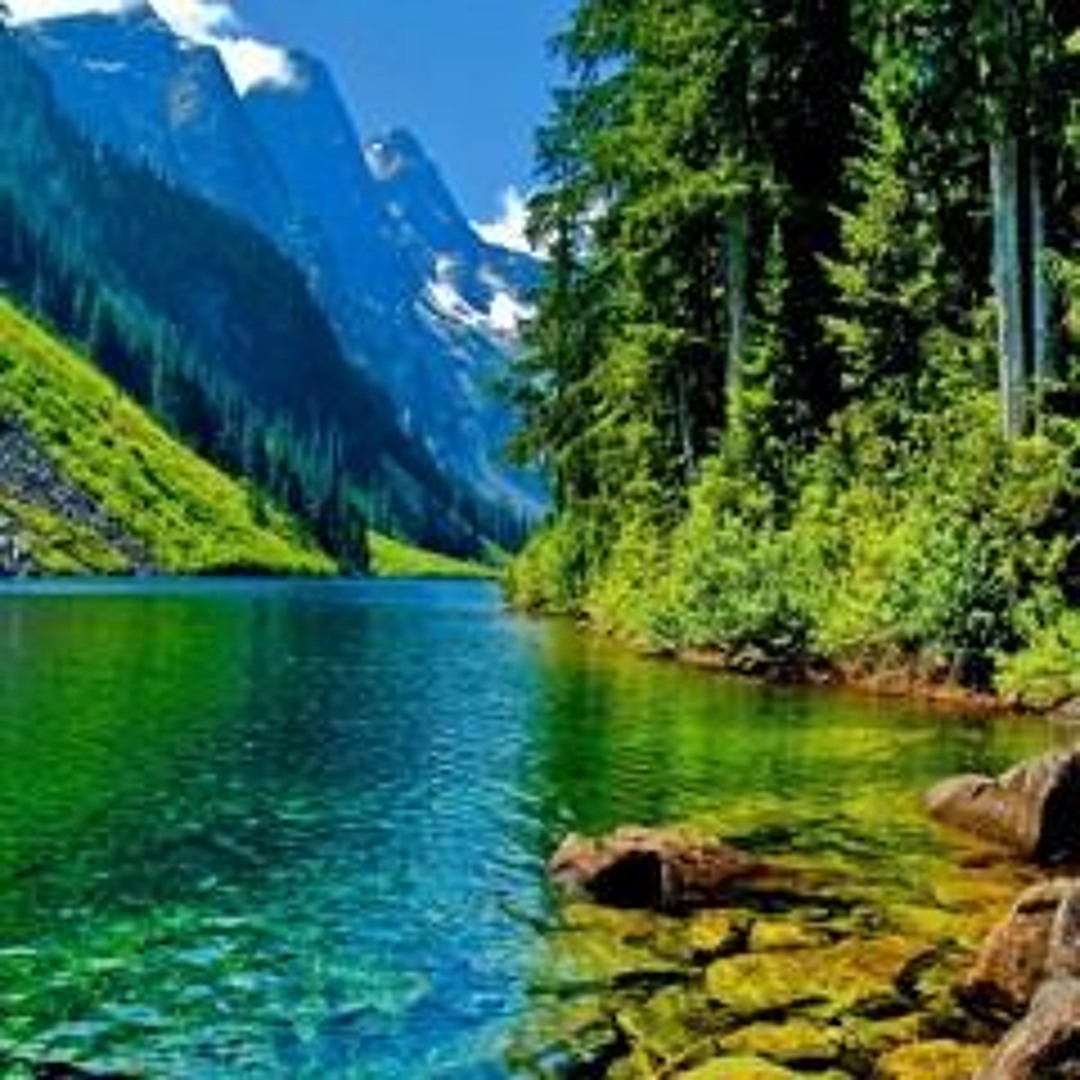 Stream Samjho Na X Wishes X Tu Aake Dekh Le - Aditya Rikhari ft ...