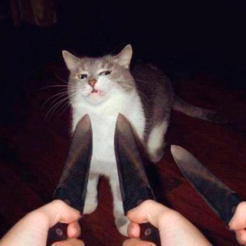 Stream ROY-BEE-Kiss-Me-Again-_Instrumental_Slow_True_ by Weapon_GrozA ...