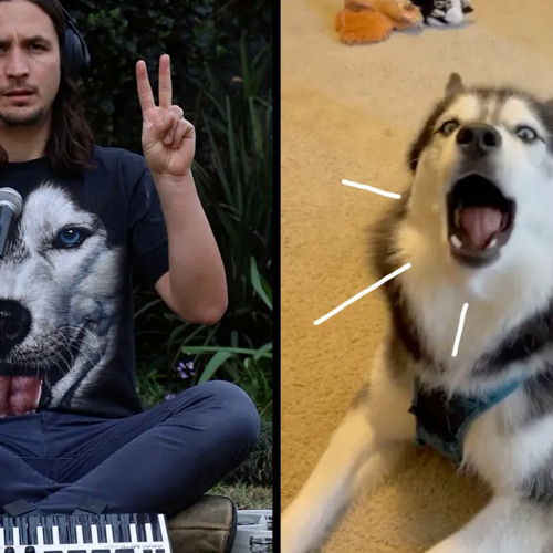 Stream The Kiffness X Haiku The Husky - Ancient Husky Melody by Dima ...