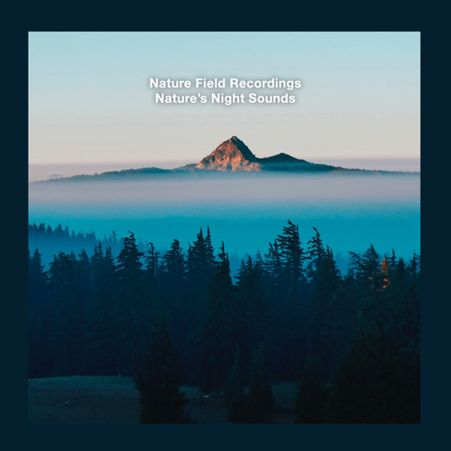 Stream Nature Field Recordings | Listen to Nature's Night Sounds ...
