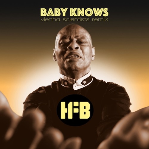 Stream The Horny Funk Brothers feat. Hubert Tubbs - Baby Knows (Vienna ...