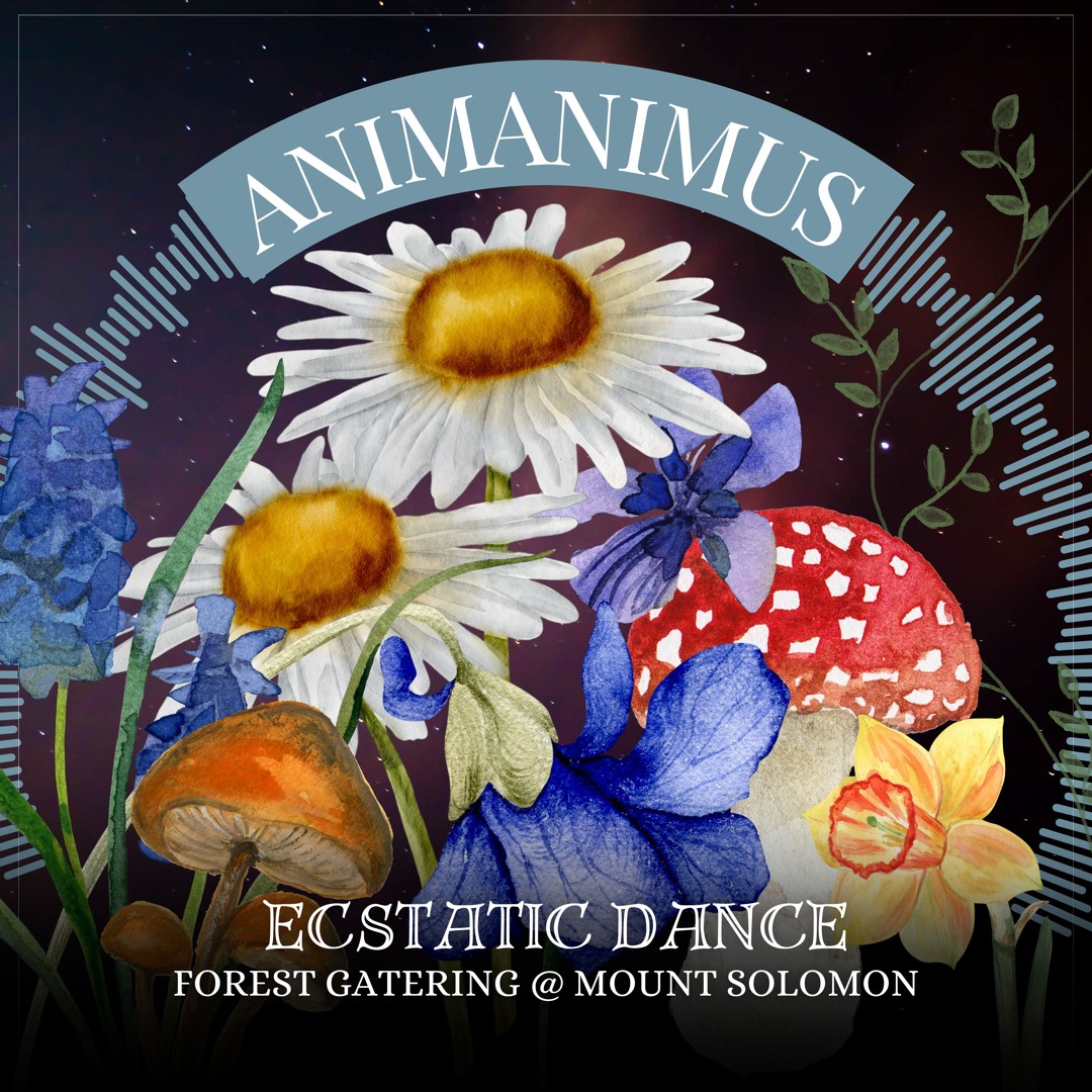 Listen to Anima Animus Ecstatic Dance Set @Mount Solomon Forest ...