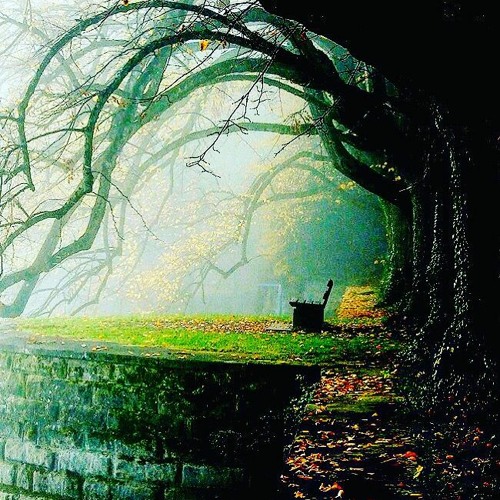 In A Lonely Place - Listen to music