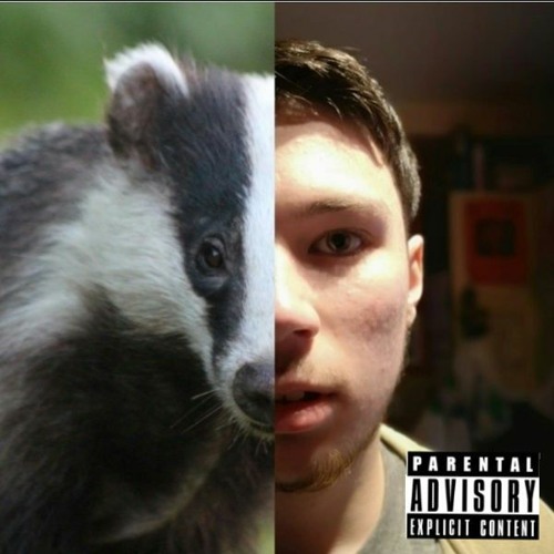 Stream Badger Boy - B&M Car Park by Sett Music | Listen online for free on SoundCloud