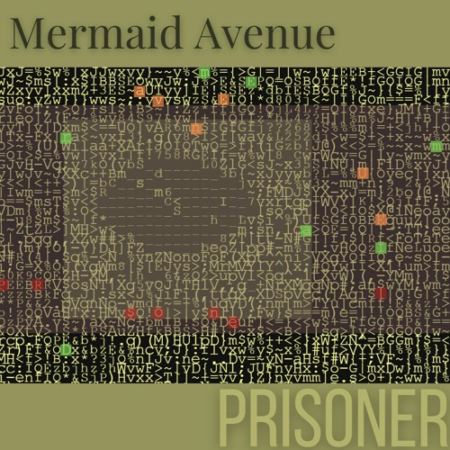 Stream Prisoner by Mermaid Avenue Band | Listen online for free on ...