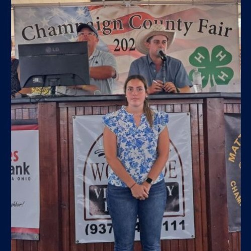 Stream Anna by WPKO News | Listen online for free on SoundCloud