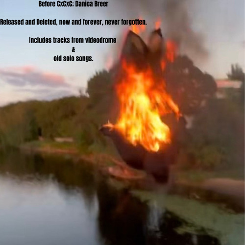 Stream cxcxc | Listen to Before CxCxC; Dani Breer comp playlist online ...