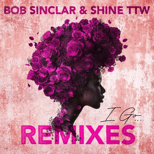 Bob Sinclar, Shine TTW - I Go (Holseek Remix) | Next Sound