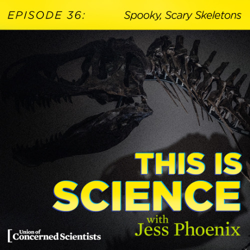 Stream episode Spooky, Scary Skeletons by This Is Science with Jess ...