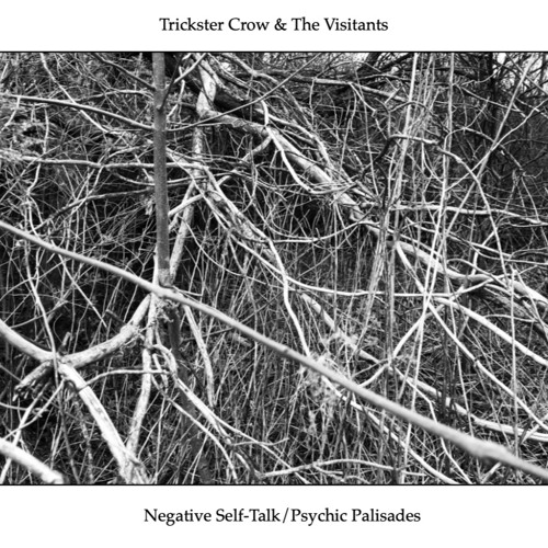 Stream Negative Self-Talk by Trickster Crow & The Visitants | Listen ...